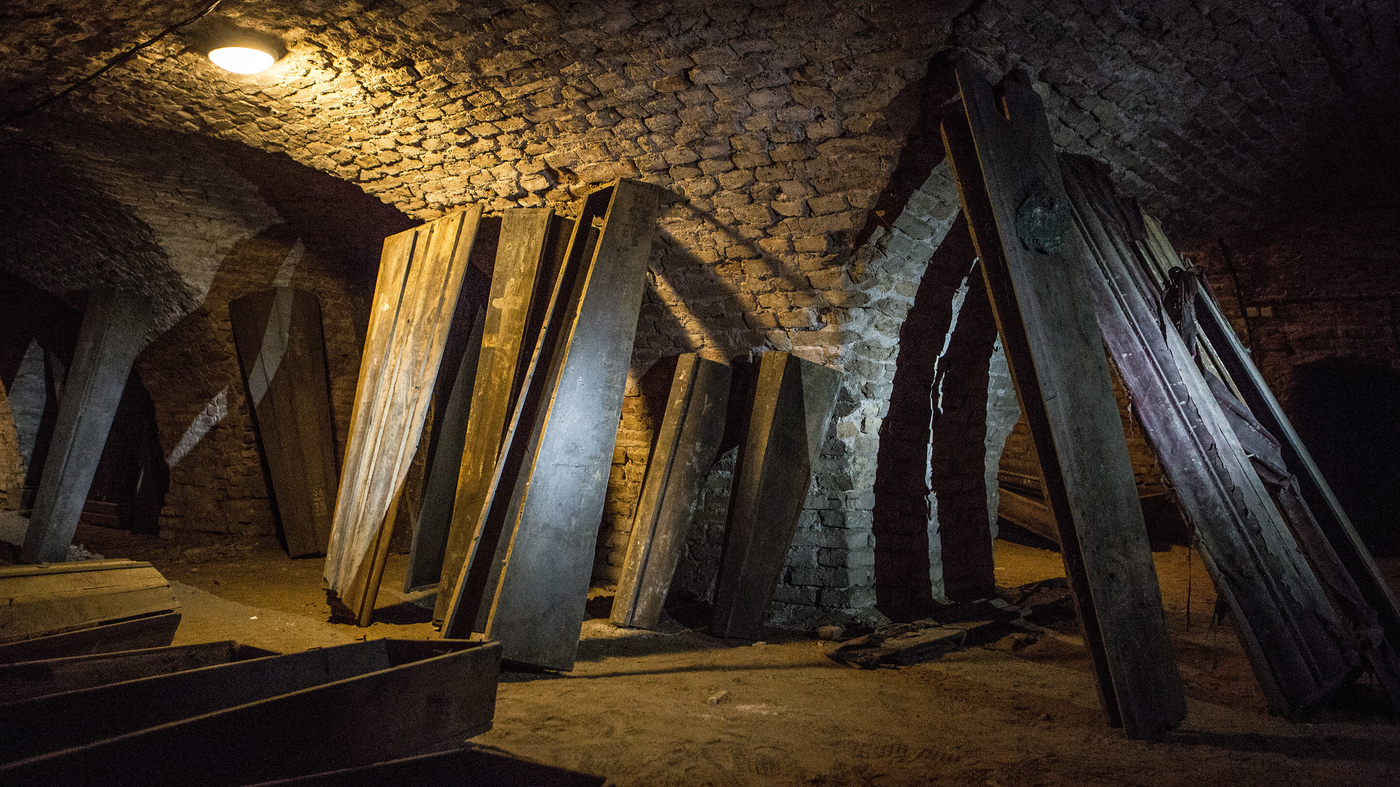 A Mummy's DNA May Help Solve The Mystery Of The Origins Of Smallpox ...