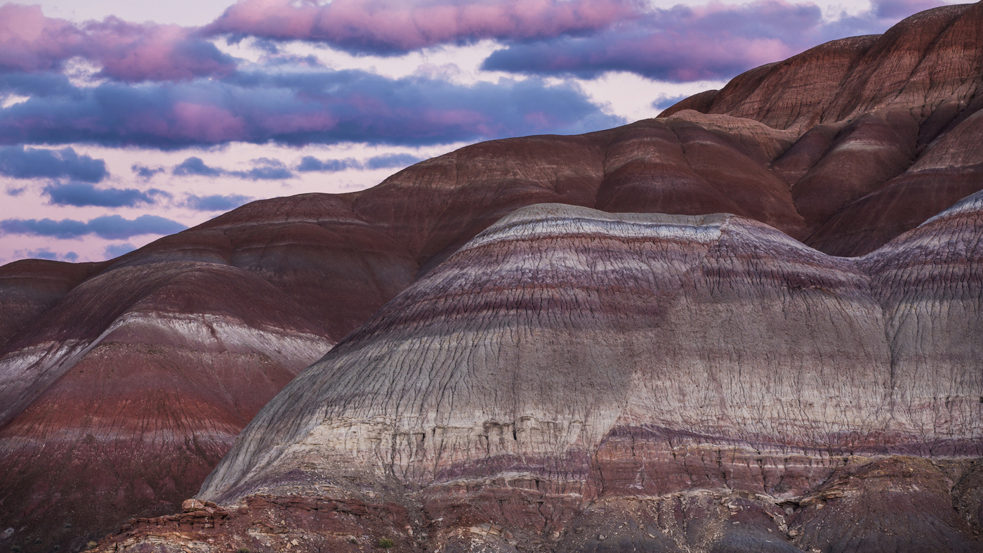 A Planet With Brains? The Peril And Potential Of Self-Aware Geological ...
