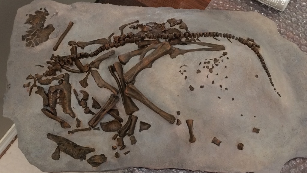 Dinosaur 'Baby Teeth' Reveal That Dino Eggs Hatched Slowly : The Two ...
