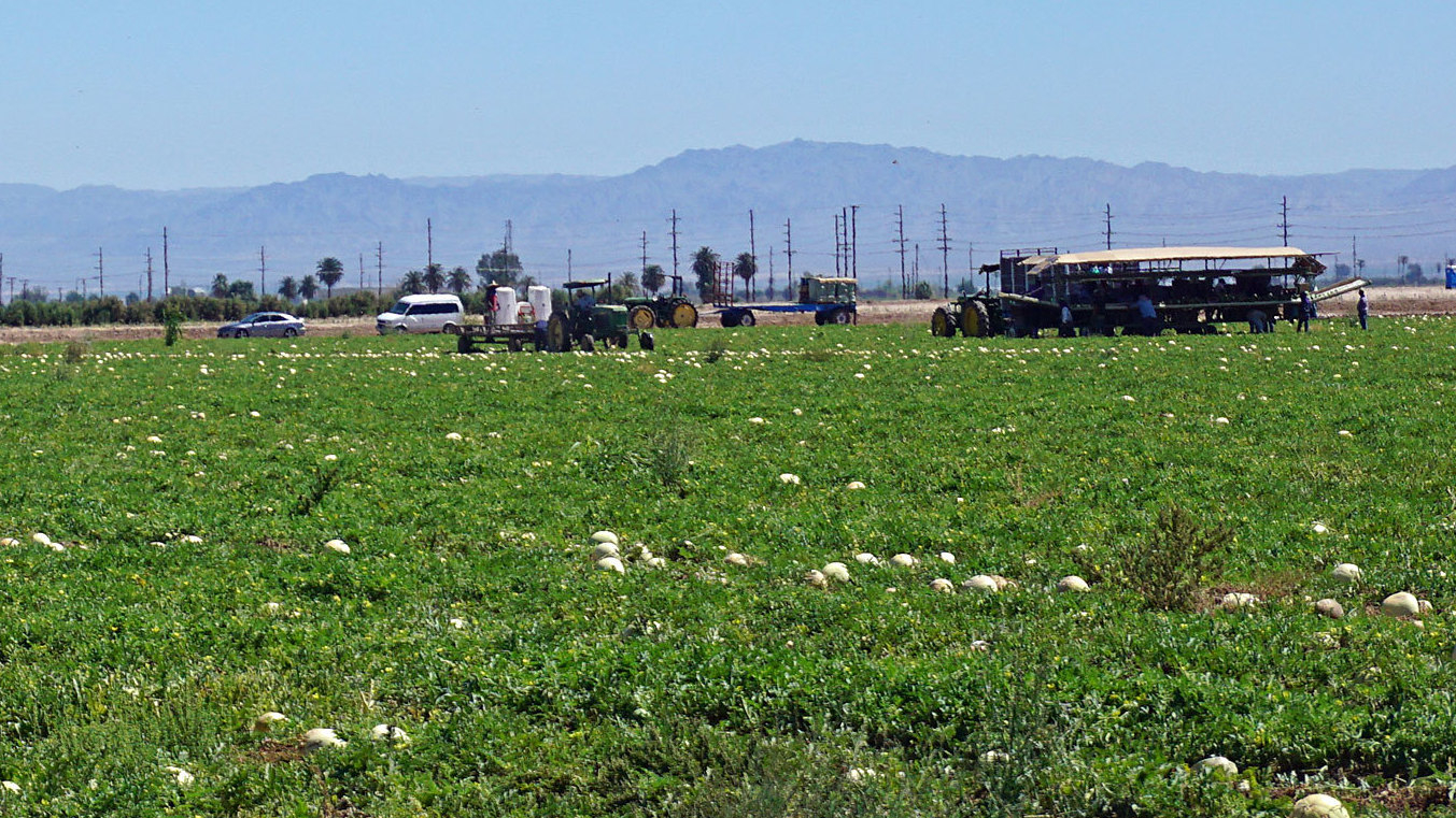 Colorado River Crisis Hits Across The West, With Water In High Demand ...