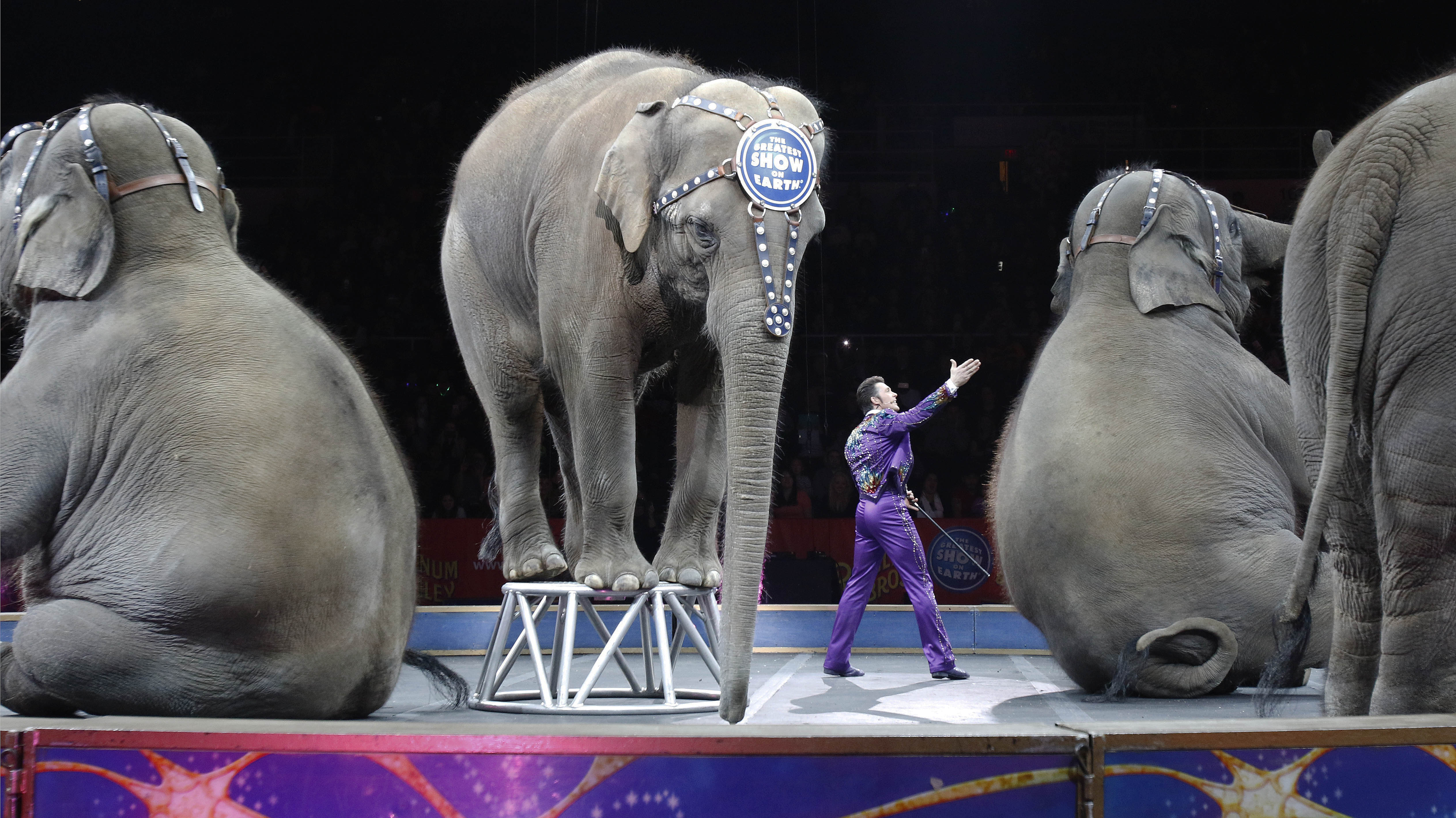 Ringling Bros. And Barnum & Bailey Circus To End 'The Greatest Show On ...