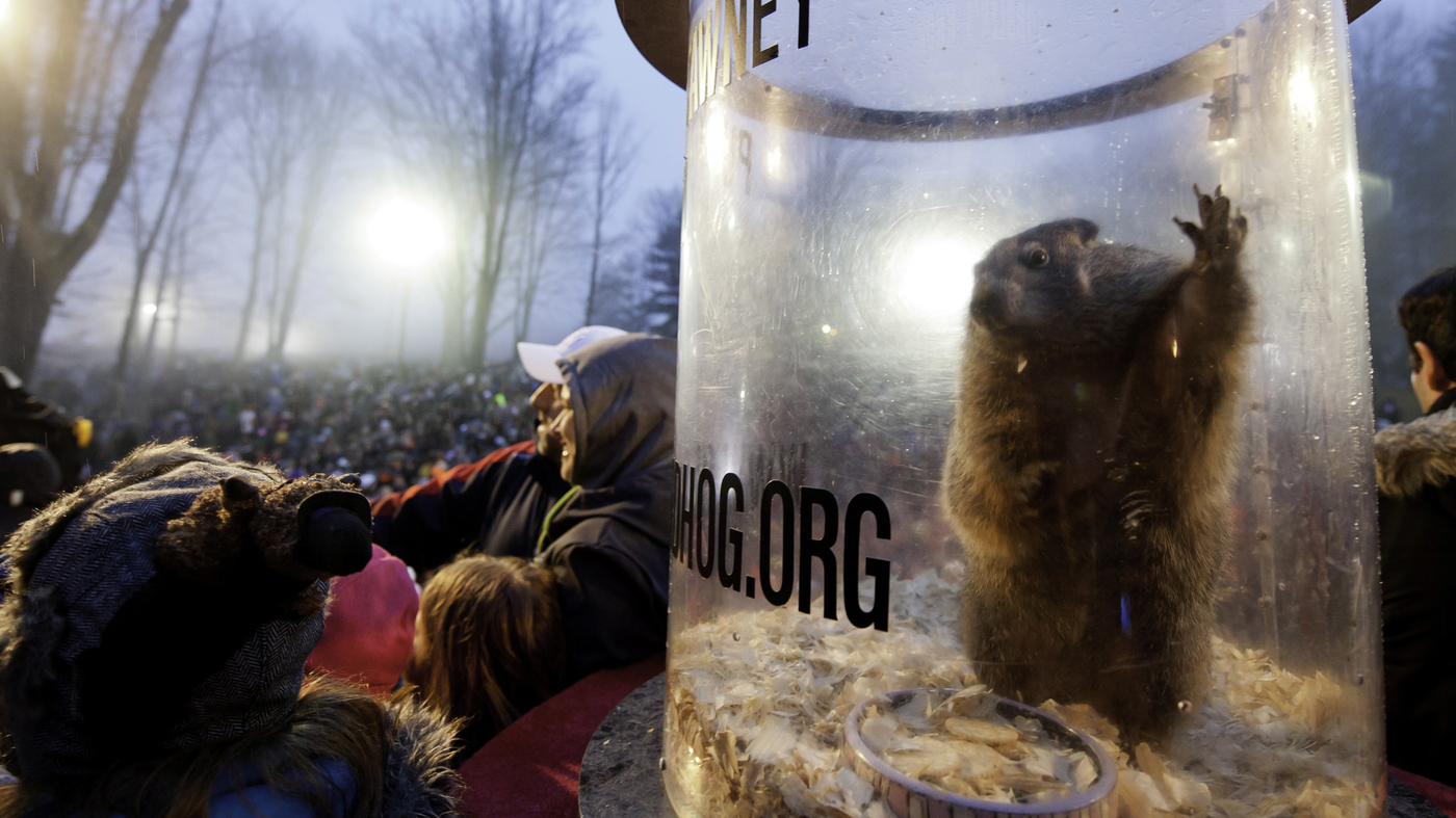 Groundhog Day: Bringing The Celebration Out Of The Shadows : NPR