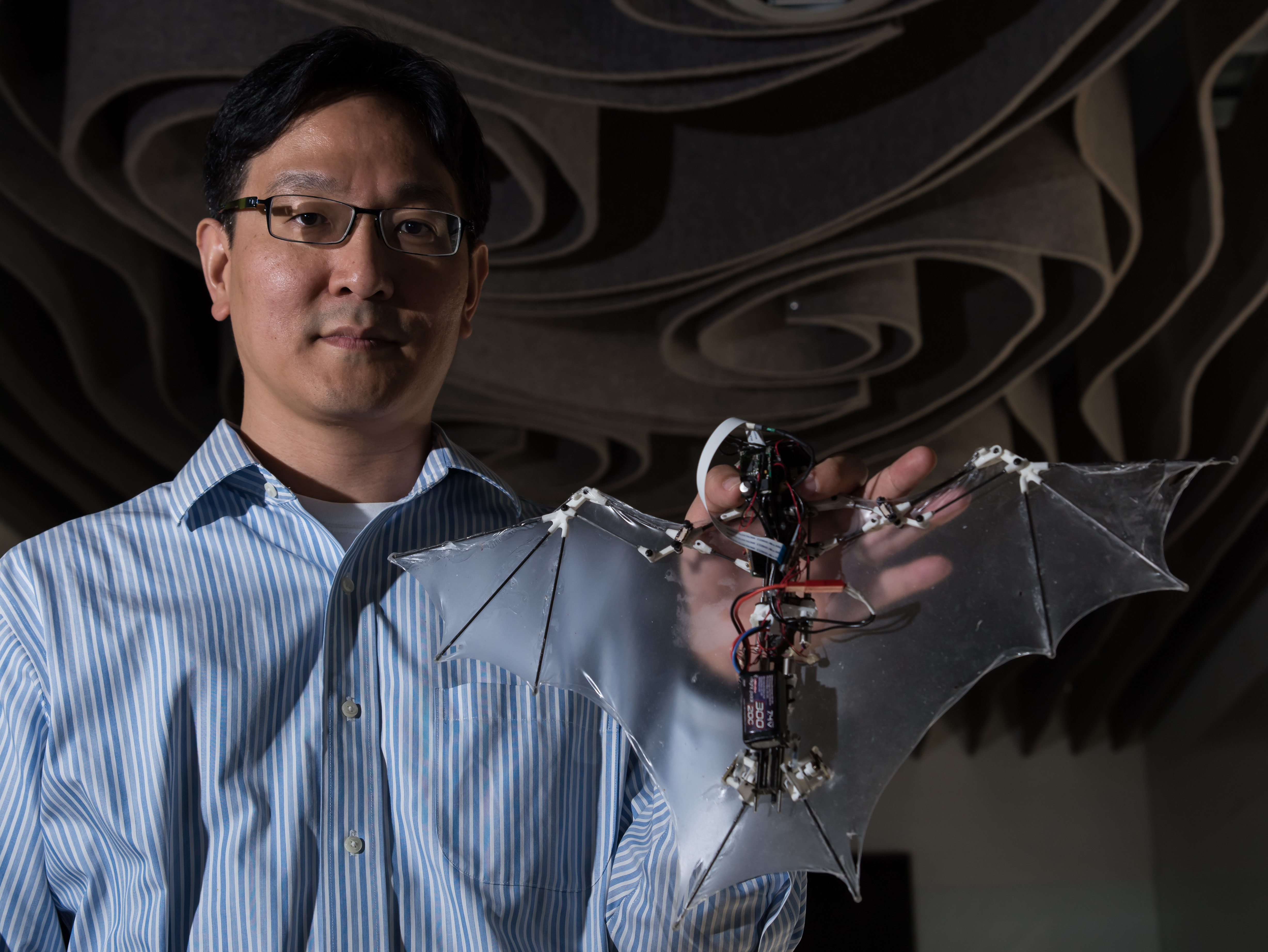 'Bat Bot' Flying Robot Mimics 'Ridiculously Stupid' Complexity Of Bat ...