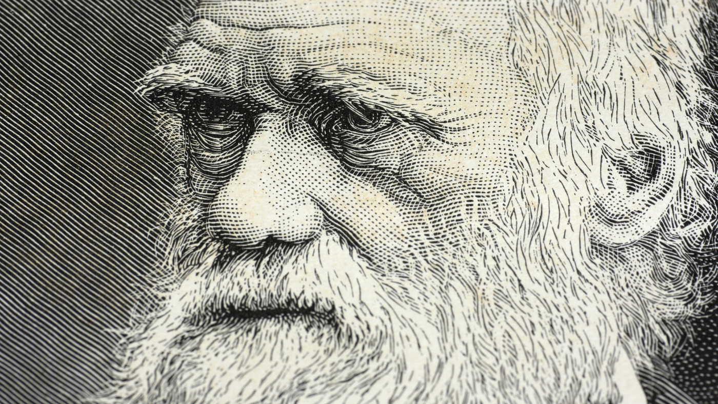 Three Things You Might Not Know About Charles Darwin : 13.7: Cosmos And ...