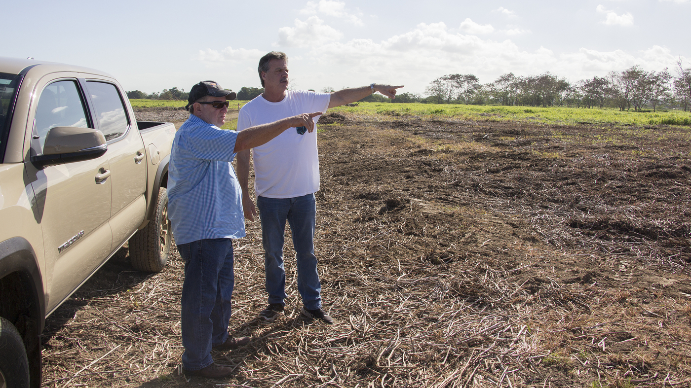 To Save The Planet, Give Cows Better Pasture : The Salt : NPR