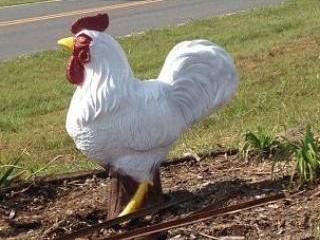3,000-Pound Rooster Statue Stolen From North Carolina Farm | WBUR