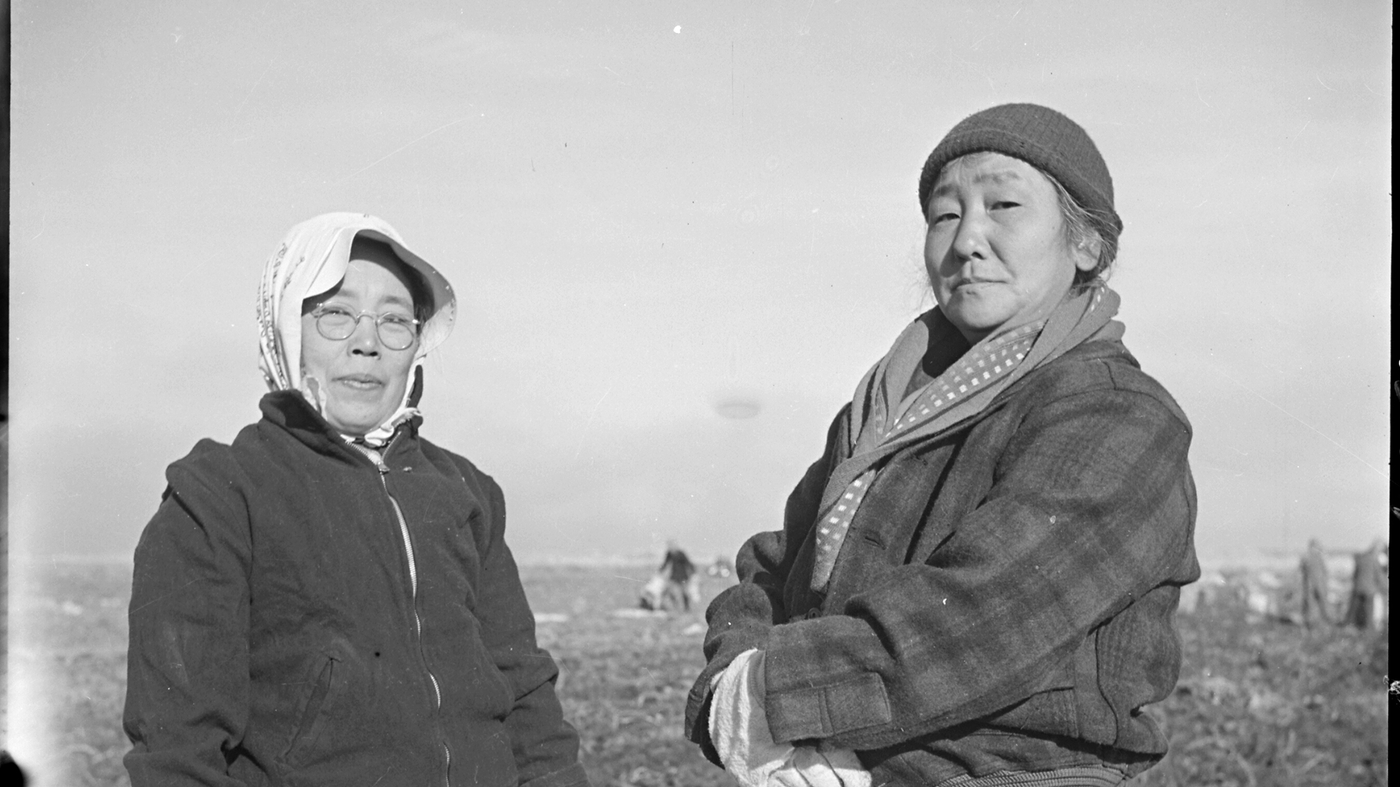 Farming Behind Barbed Wire: Japanese-Americans Remember WWII ...