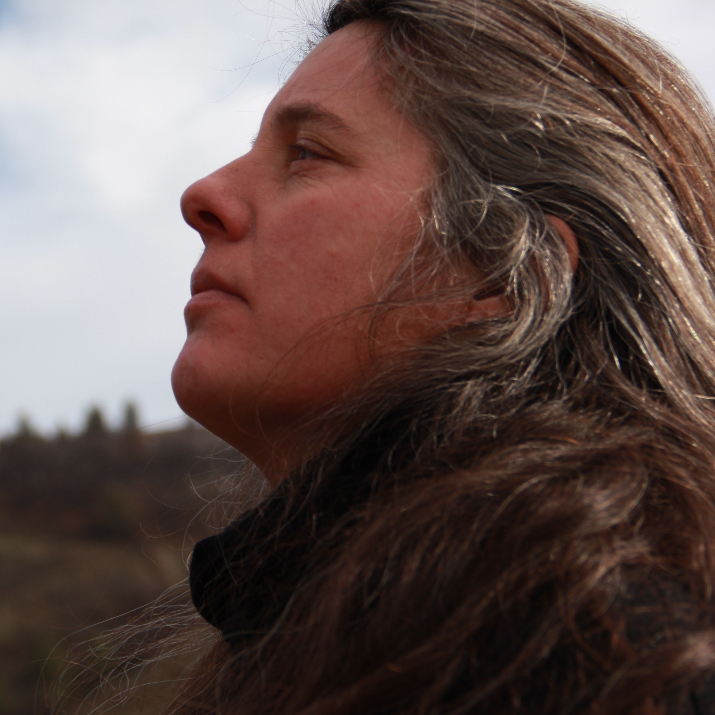 Marisa Anderson, "He Is Without His Guns" | NCPR News