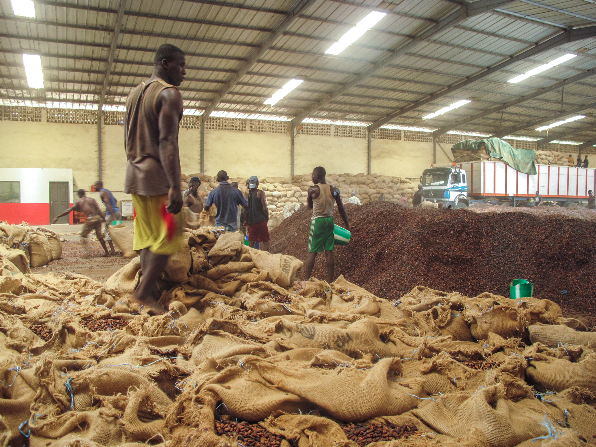 A Dip In Global Prices Creates Cocoa Crisis For Ivory Coast's Farmers ...