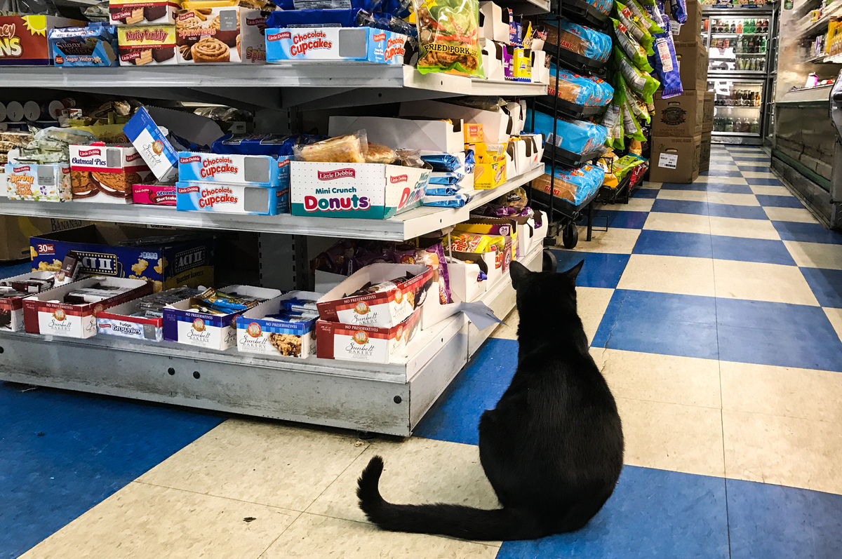 New York City Bodegas And The Generations Who Love Them : Code Switch : NPR