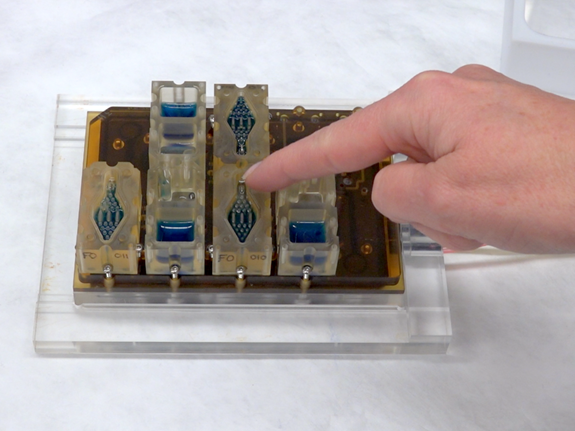 Device Mimicking Female Reproductive Cycle Could Aid Research | NCPR News