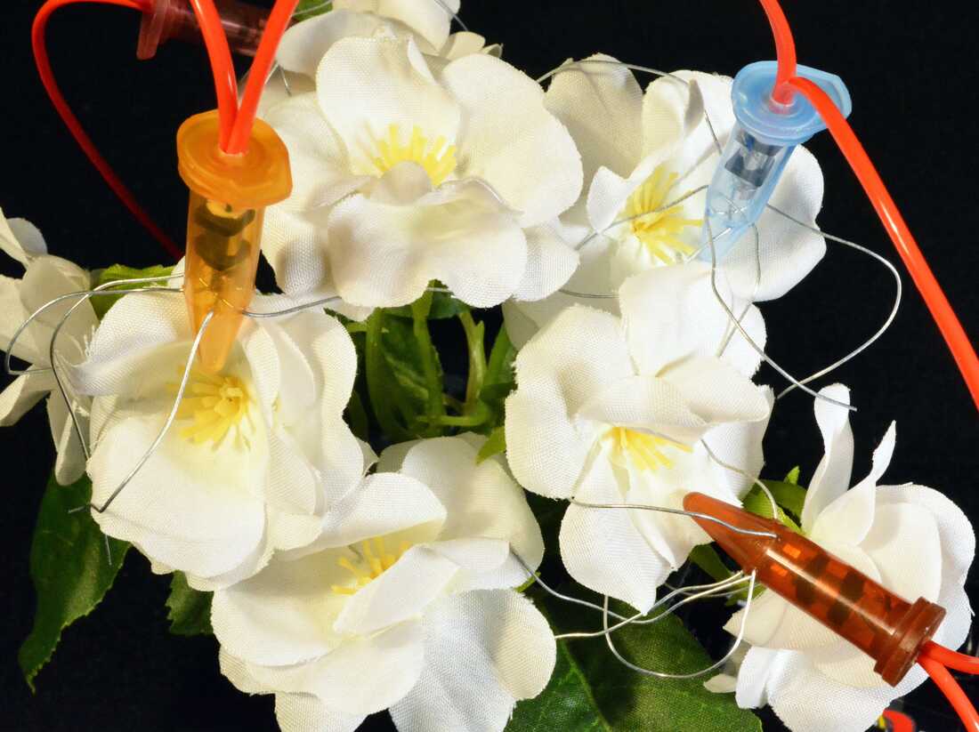 Artist's Exhibit Borrows Human Tech To Solve Nature's Manmade Problems ...