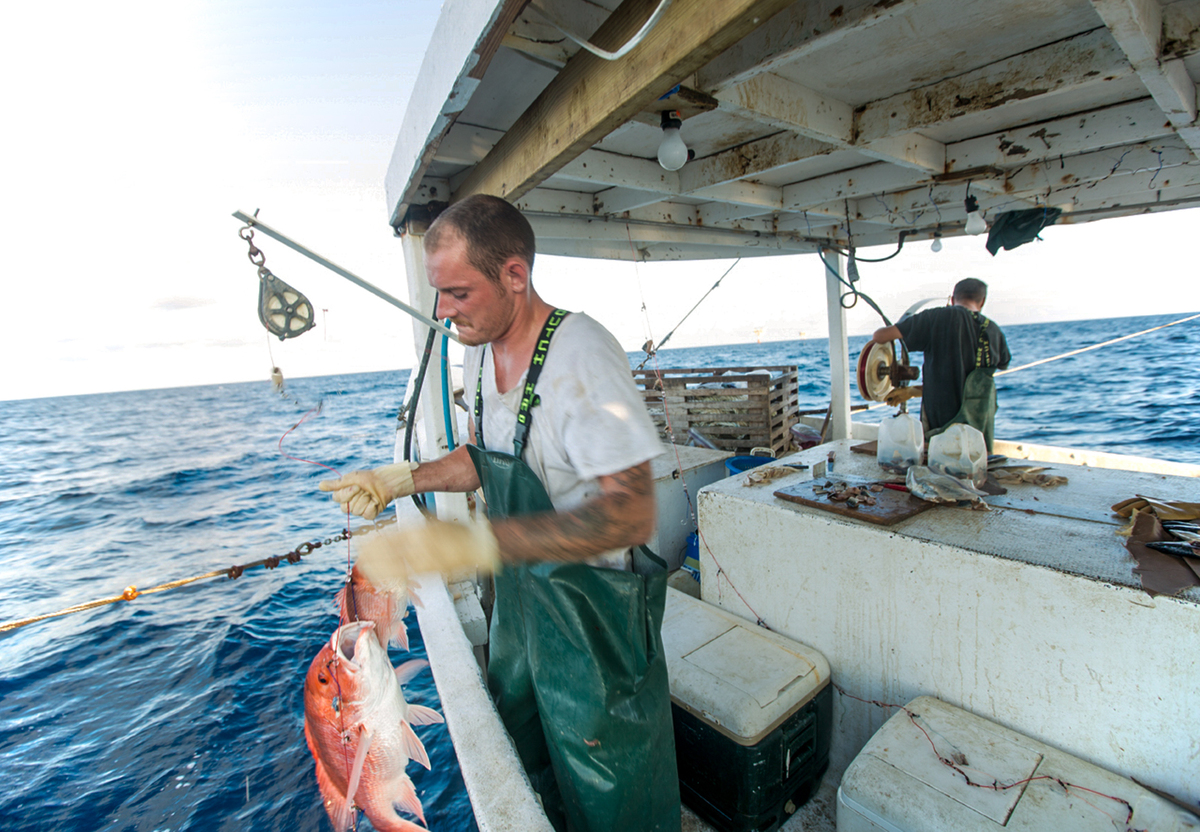 The Race To Fish Slows Down. Why That's Good For Fish, Fishermen And ...