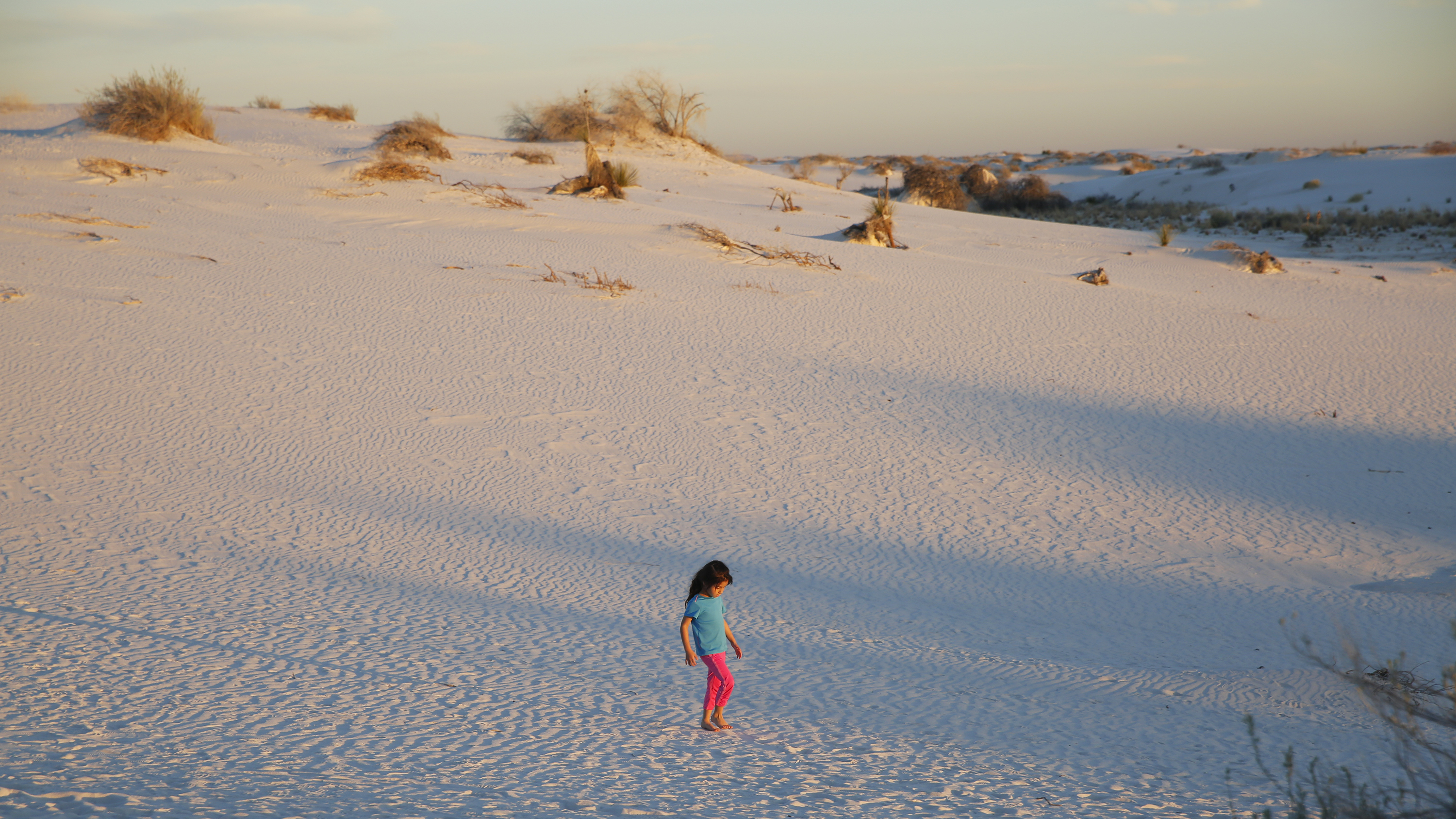 PHOTOS: The Creamy, Sculpted Dunes Of White Sands National Monument : NPR