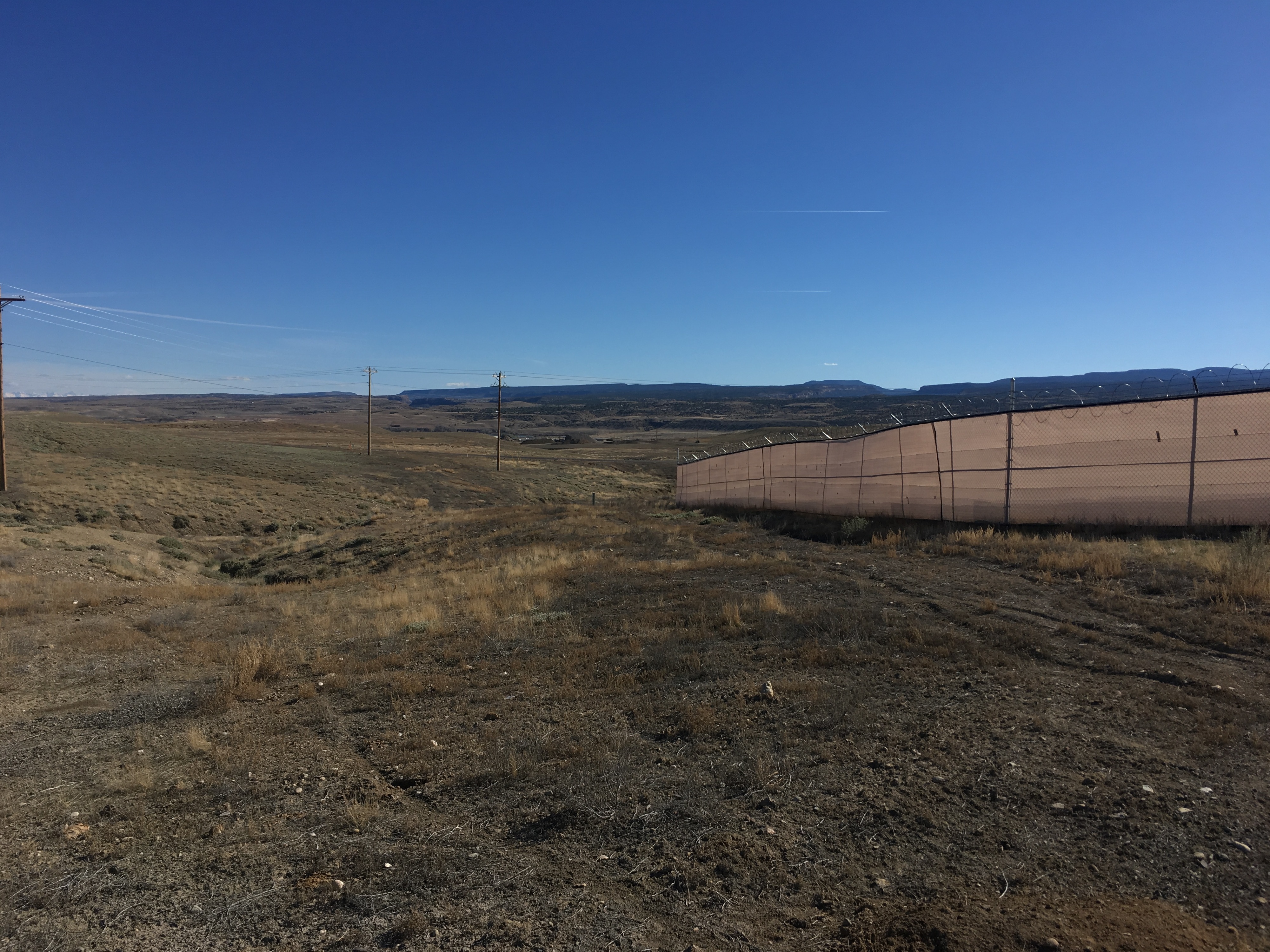 To Solve Gruesome Desert Mysteries, Scientists Become Body Collectors ...