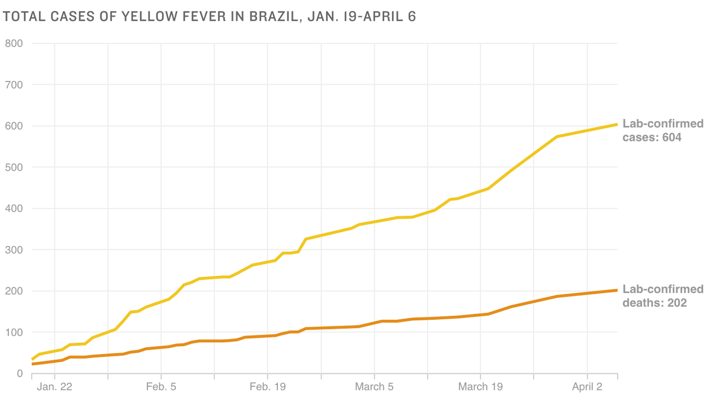 Dr. Anthony Fauci Is Worried That Brazil's Yellow Fever Outbreak Could ...