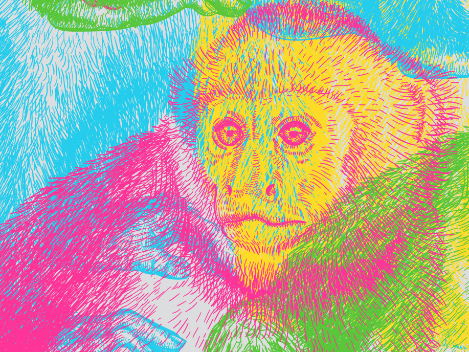 Michael Nesmith On 'Infinite Tuesday' And Touring With Hendrix | NCPR News