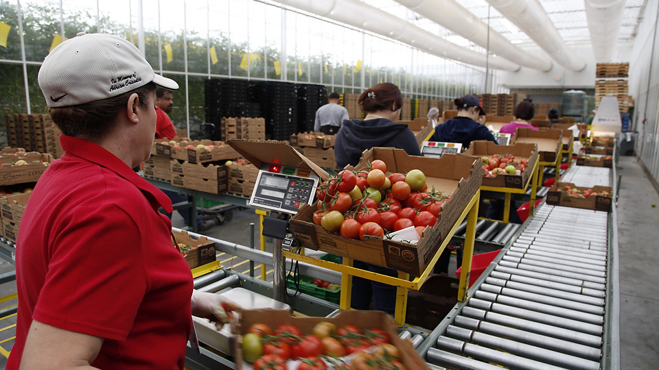 Not Just For Foreign Foods: Fair-Trade Label Comes To U.S. Farms : The ...