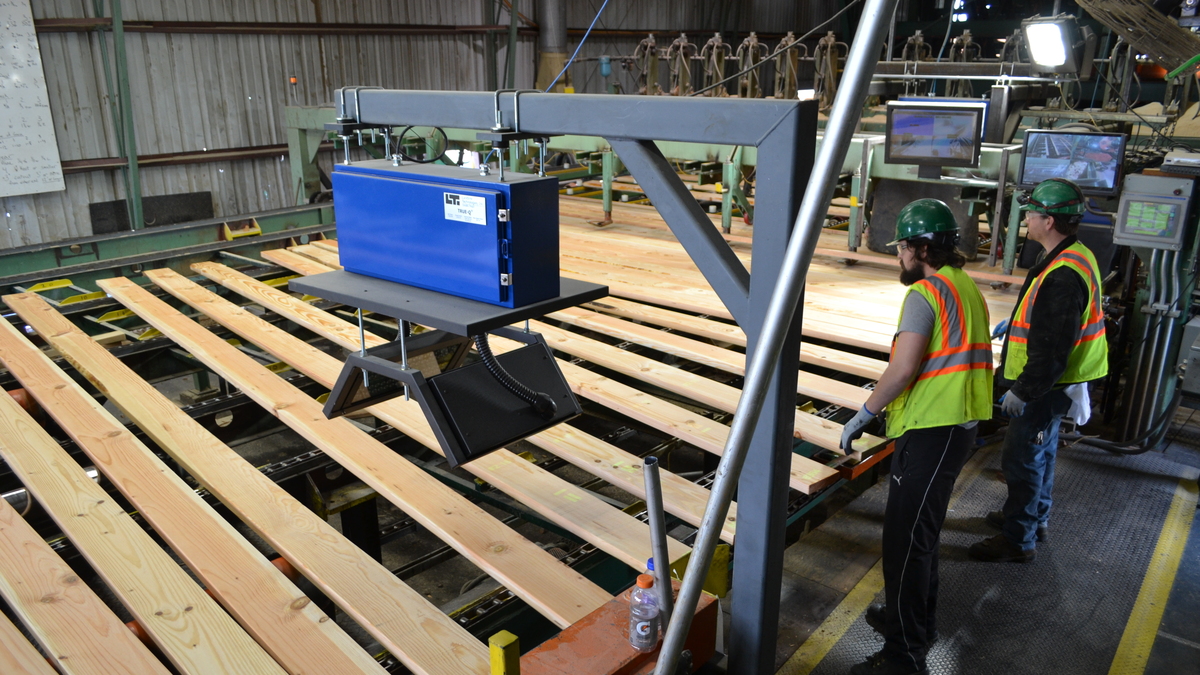 Struggling Logging Industry Gave Trump An Opening In This Deep Blue ...