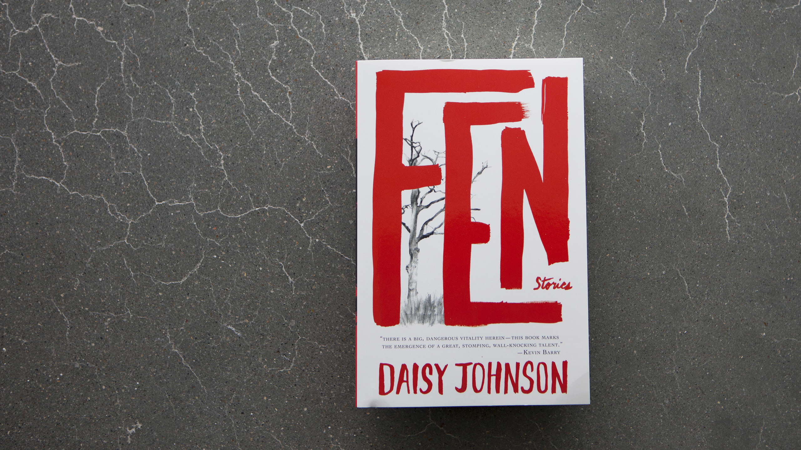 Review: 'Fen,' By Daisy Johnson : NPR