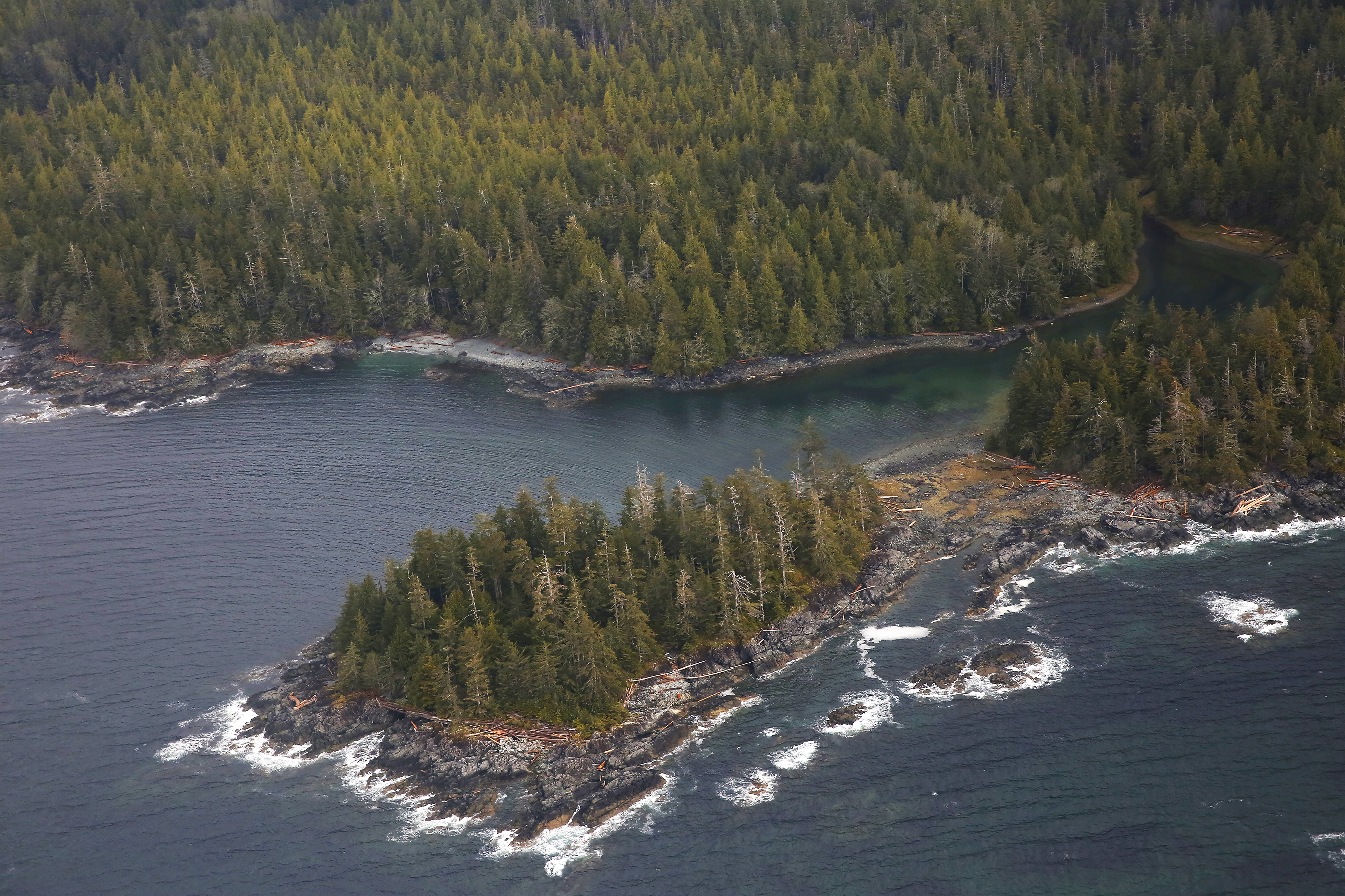 Leaving Timber Behind, An Alaska Town Turns To Tourism | NCPR News