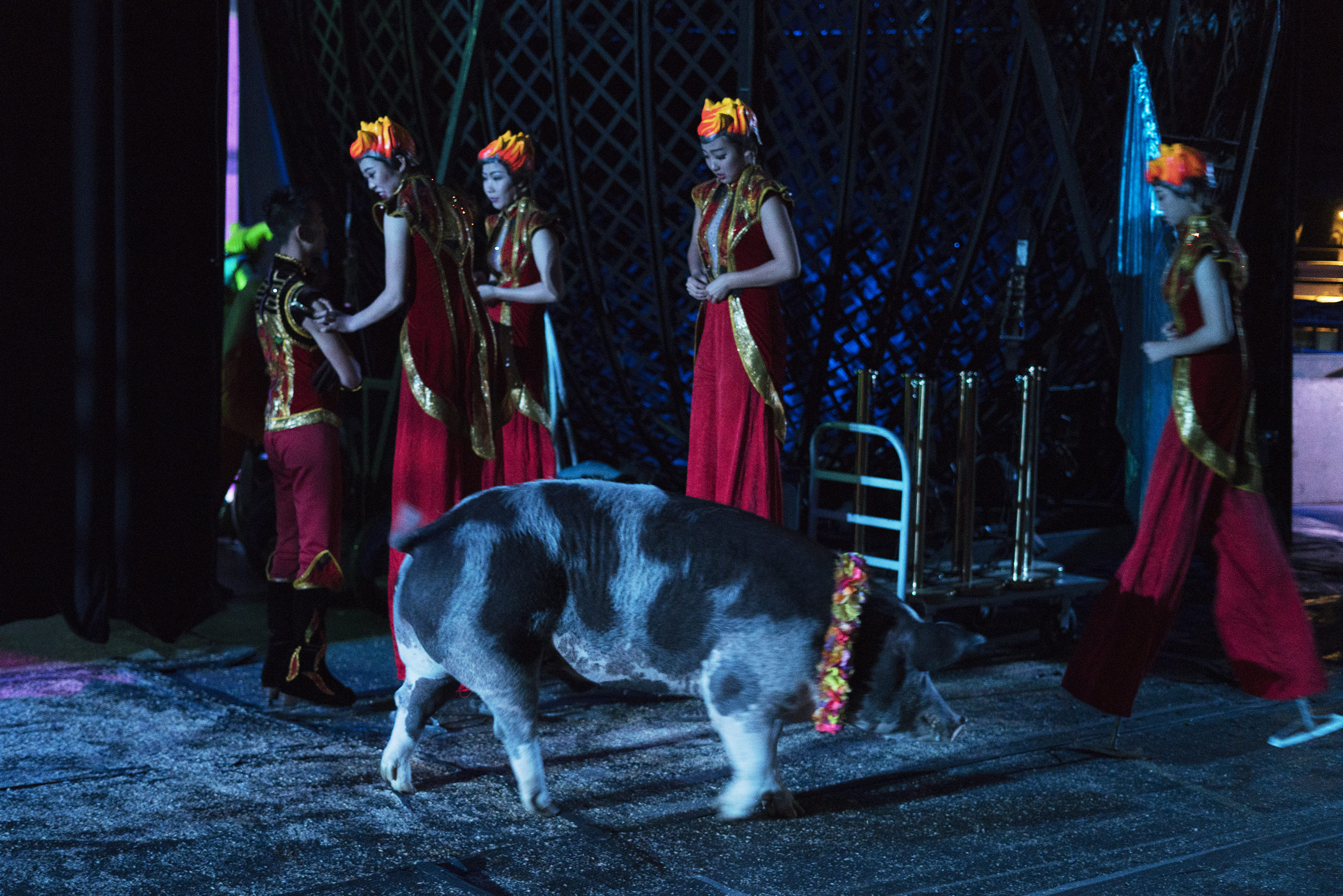 'A Kingdom On Wheels': The Hidden World That Made The Circus Happen ...