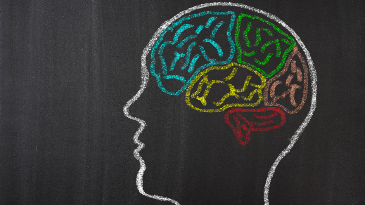 Has Modern Experience Changed The Human Brain? : 13.7: Cosmos And ...
