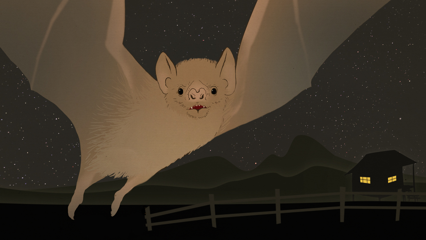 VIDEO: Get To Know The Bloodthirsty (But Cuddly) Vampire Bat : Goats ...