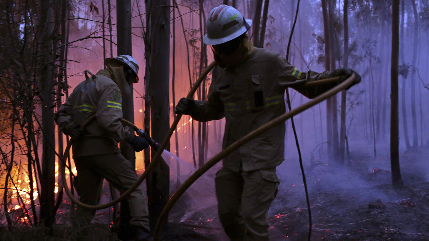 Portugal Declares 3 Days Of Mourning As Vast Wildfire Kills Dozens Of ...