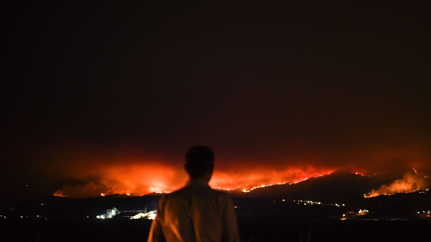Portugal Declares 3 Days Of Mourning As Vast Wildfire Kills Dozens Of ...