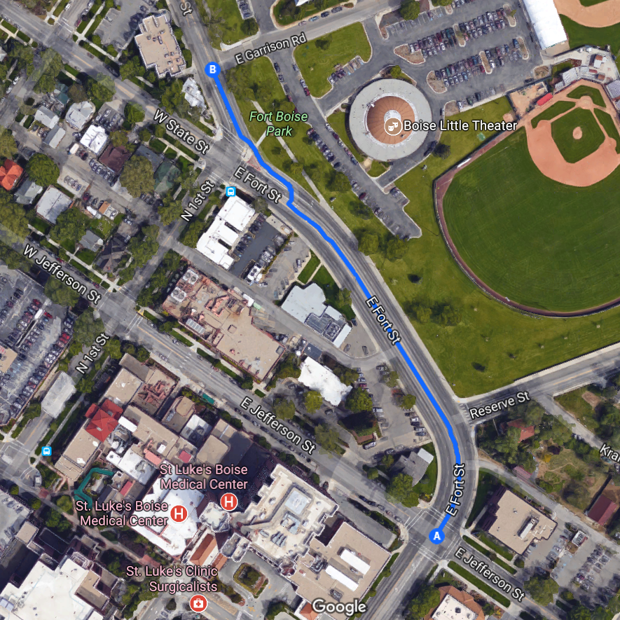 What Does It Take To Move A 10-Story Tree A Couple Of City Blocks ...