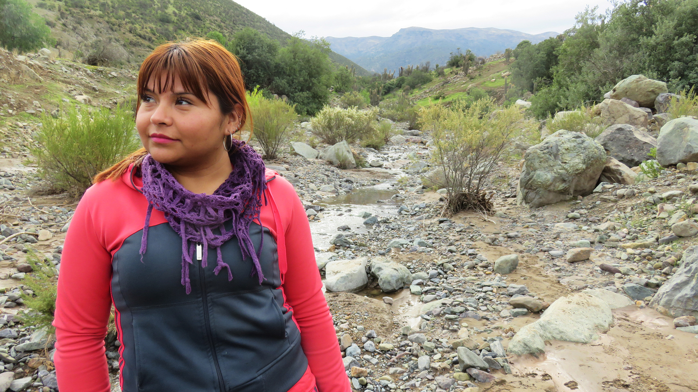 In Chile, Many Regard Climate Change As The Greatest External Threat ...