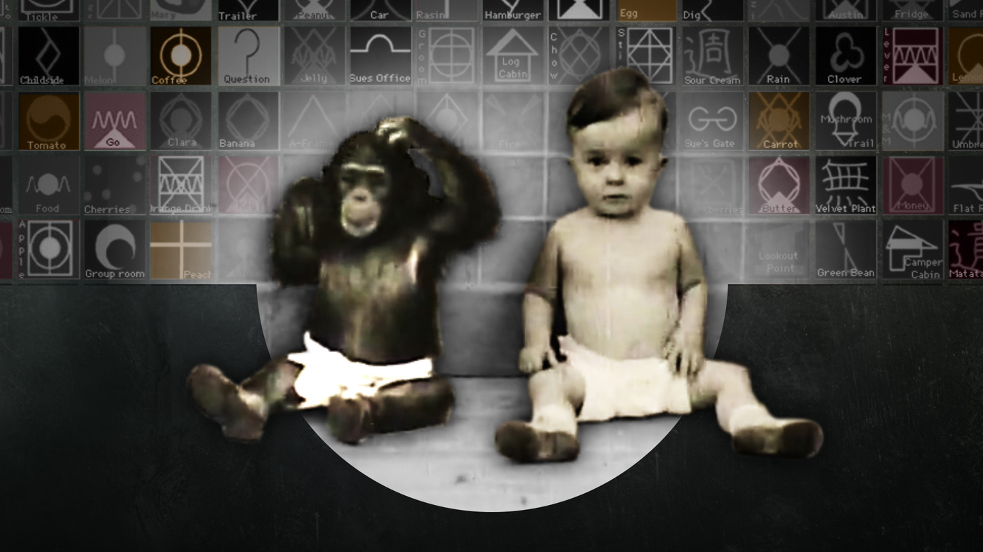 Can Nonhuman Apes Use Language? : Shots - Health News : NPR