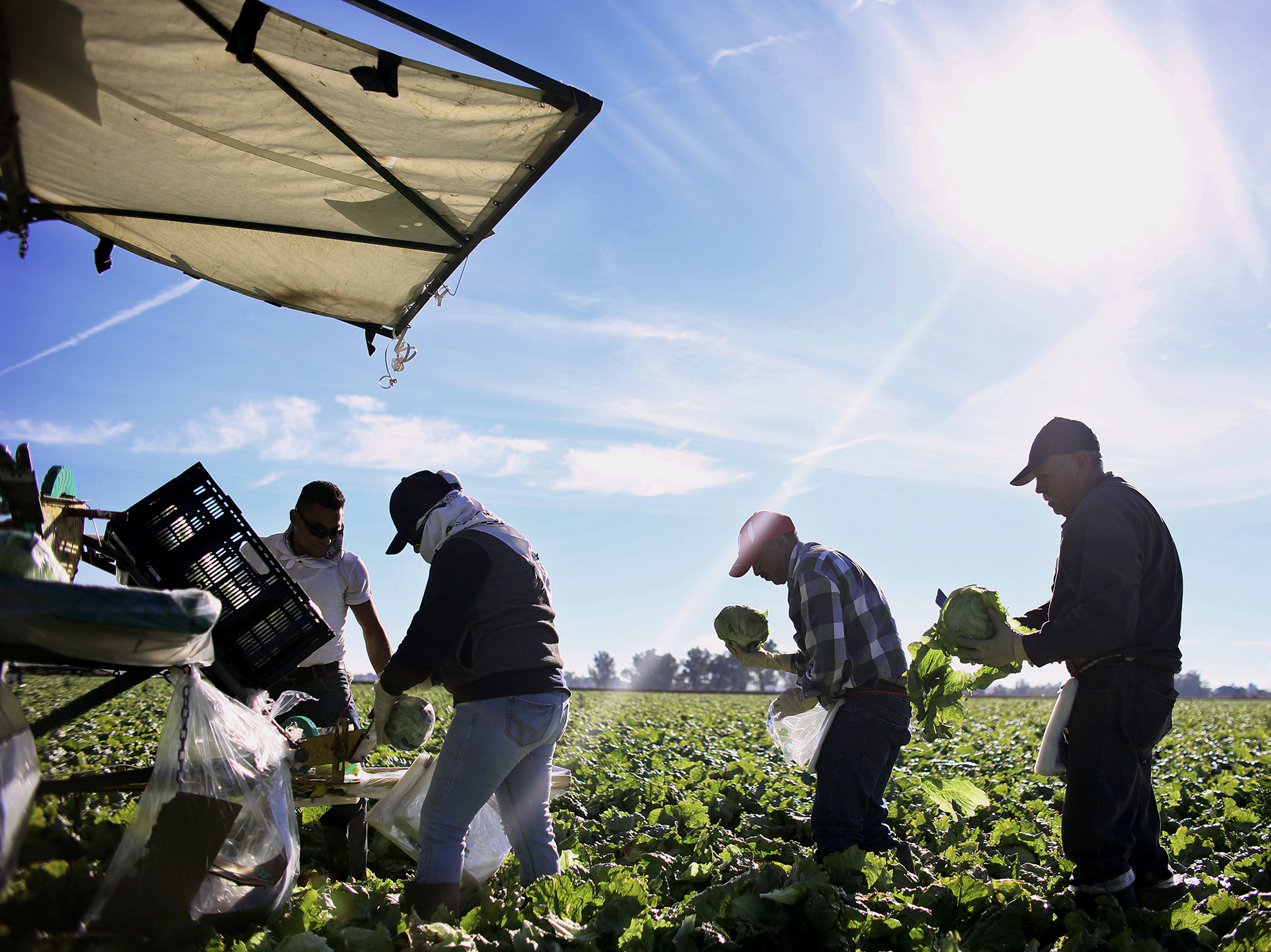 Farm-To-Table May Feel Virtuous, But It's Food Labor That's Ripe For ...