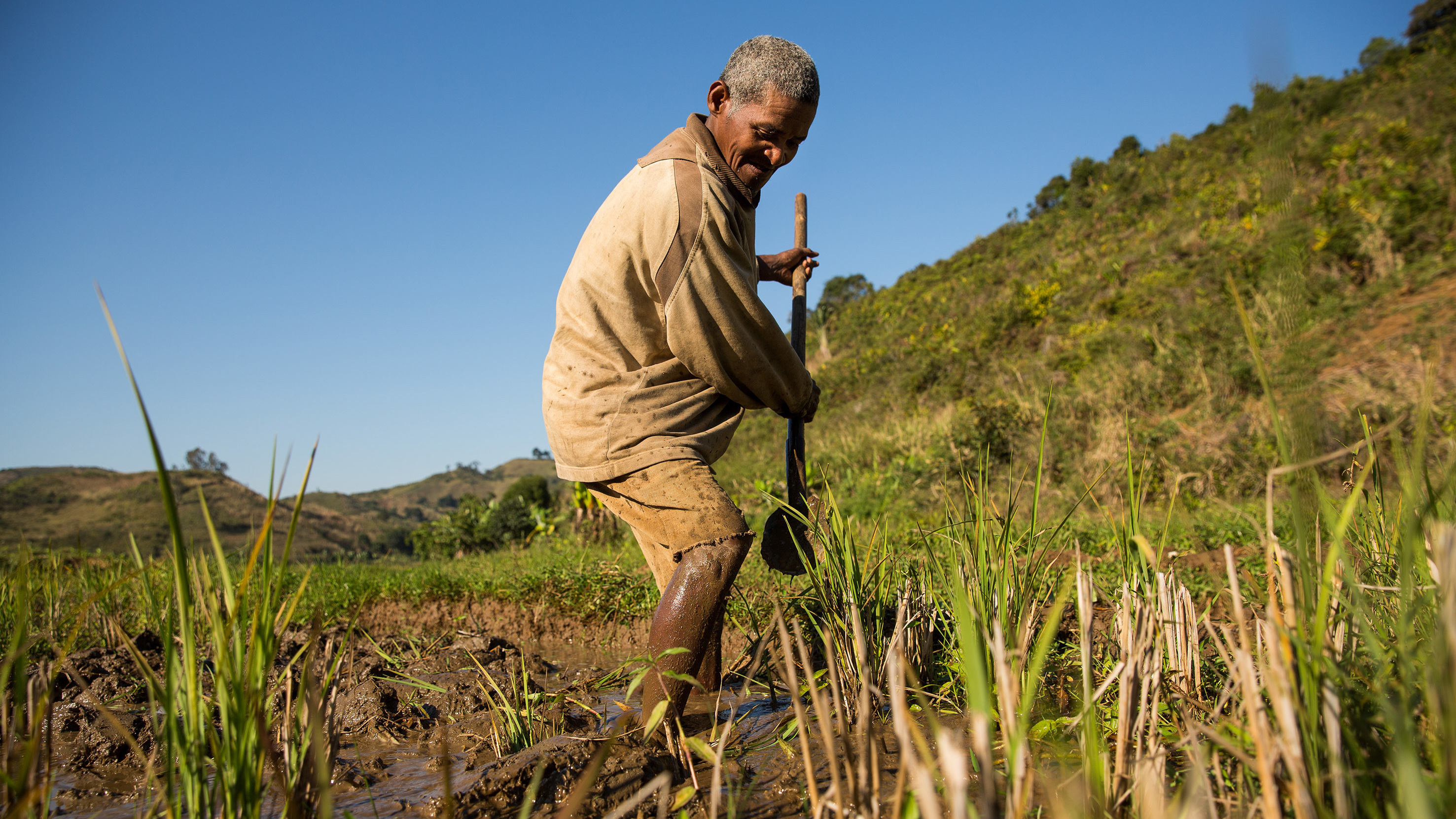 Erratic Weather Threatens Livelihood Of Rice Farmers In Madagascar ...