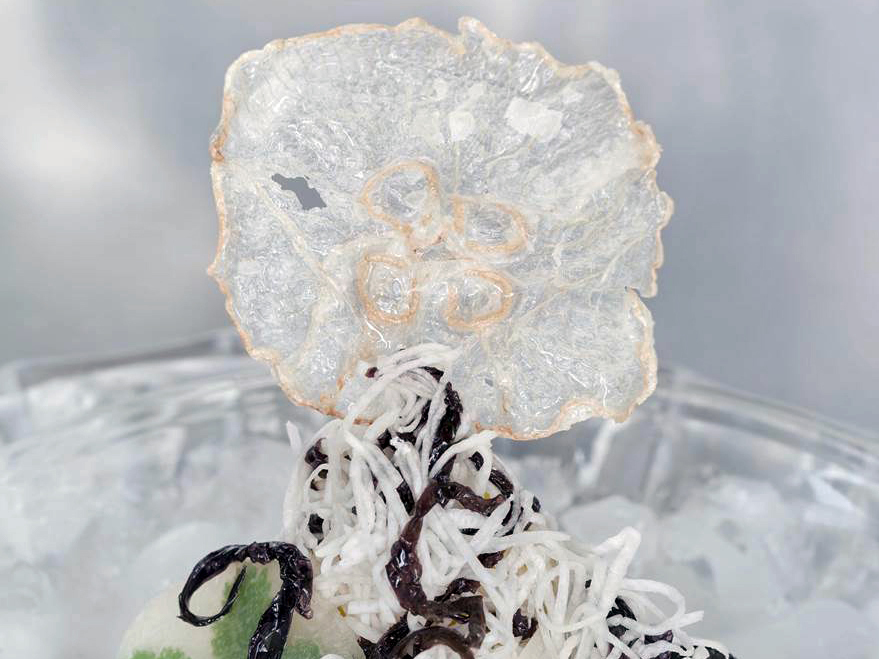 When Oceans Give You Jellyfish Blooms, Turn Them Into Tasty Chips ...