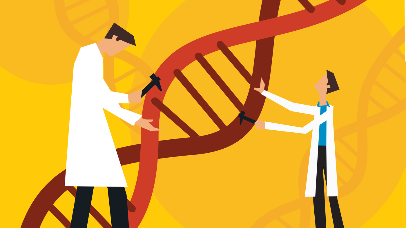 Public Opinion On Gene Editing Varies Depending On Knowledge, Religion ...