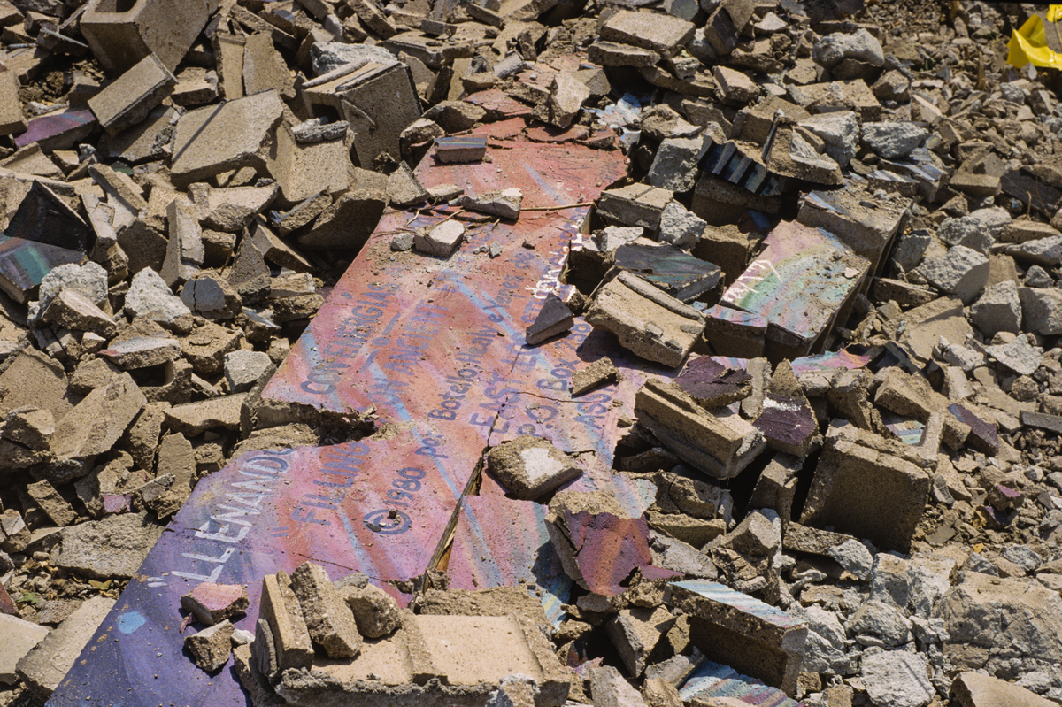 '¡Murales Rebeldes!': These Disappearing LA Murals Mirror Their ...