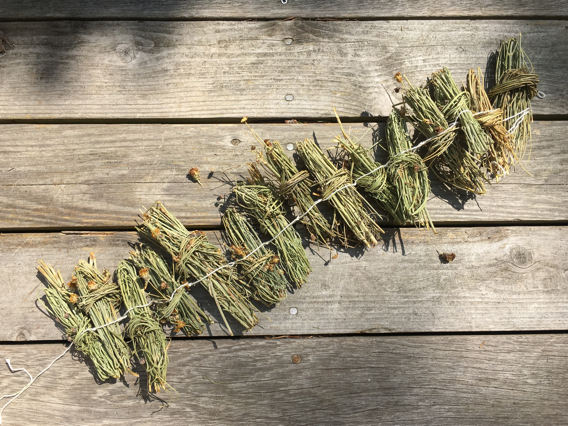 For Navajos, Desert 'Tea' Fosters Kinship With Heritage And Nature ...