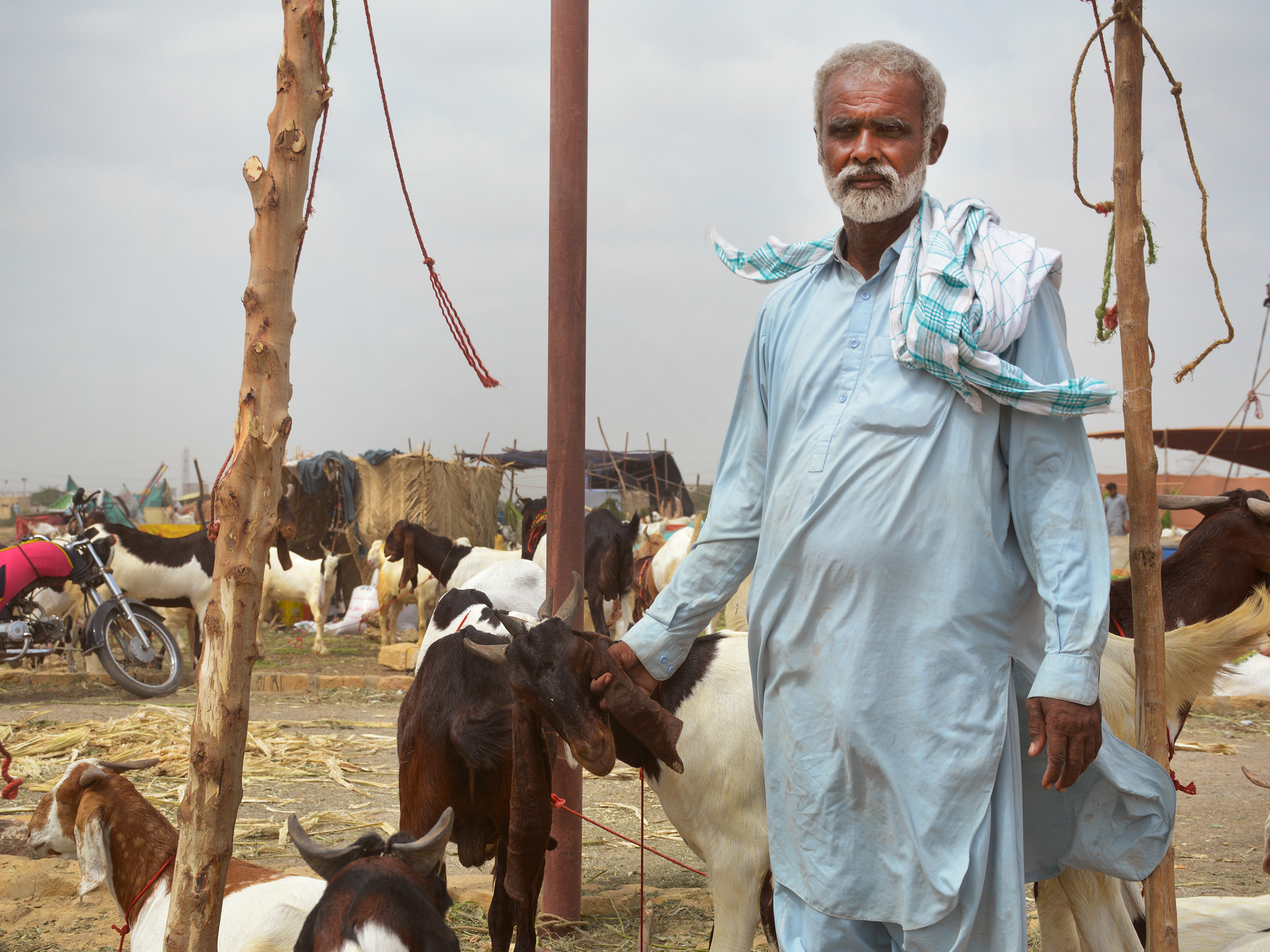 Why Some Muslims In Pakistan Won't Be Able To Buy A Goat This Year ...