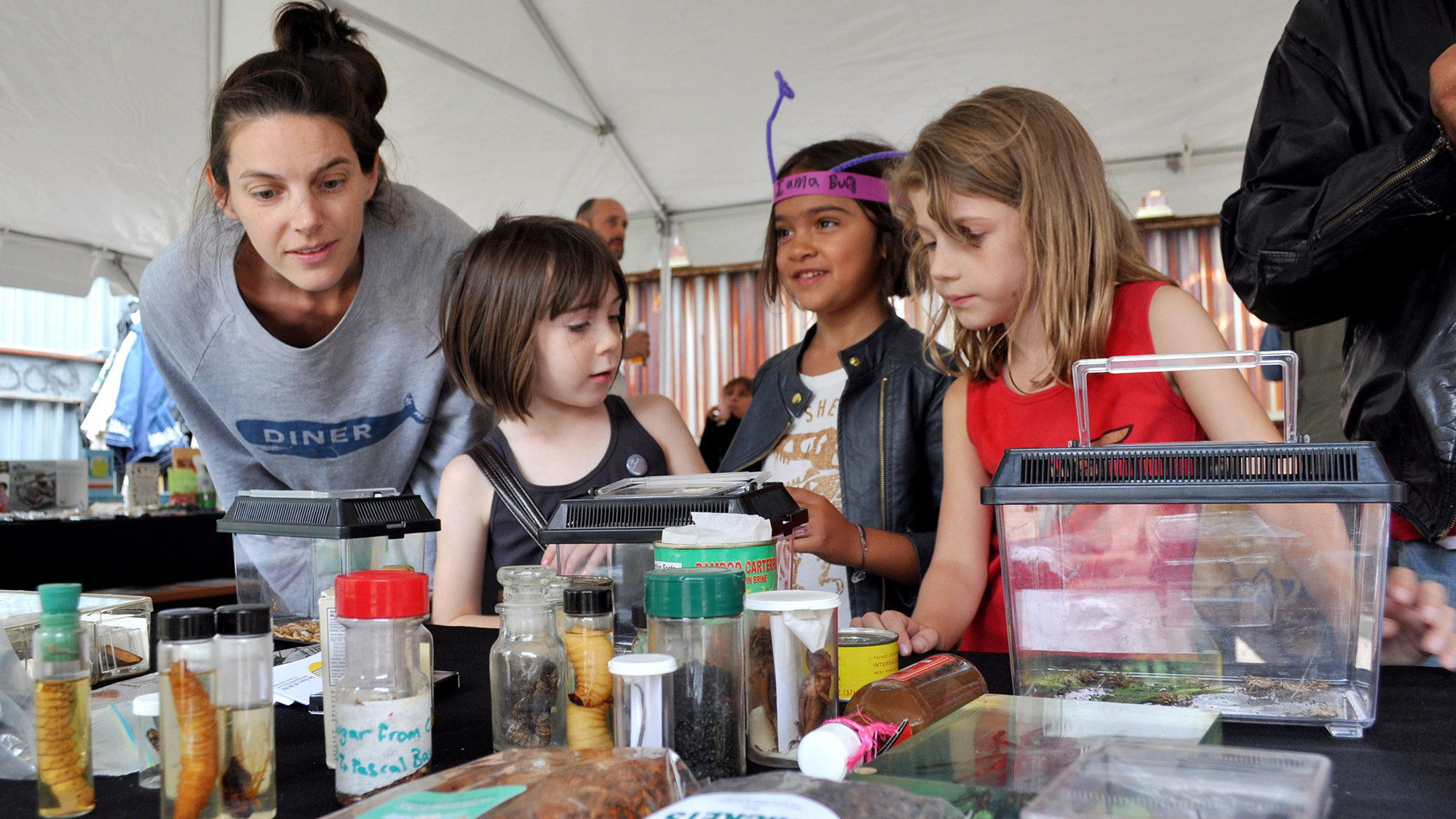 At Bug-Eating Festival, Kids Crunch Down On The Food Of The Future ...