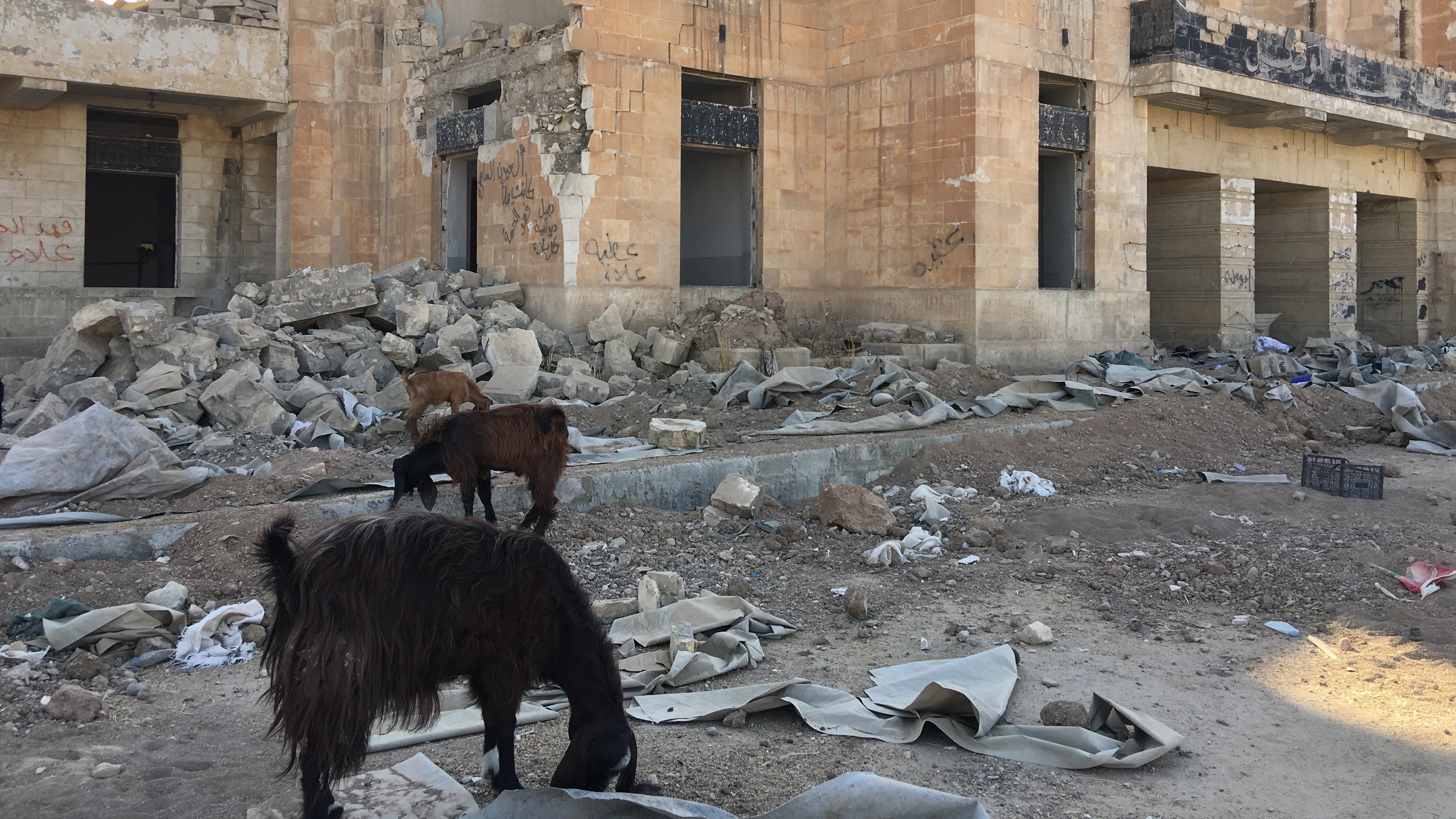 As East Mosul Comes Back To Life, West Mosul Remains In Ruins ...