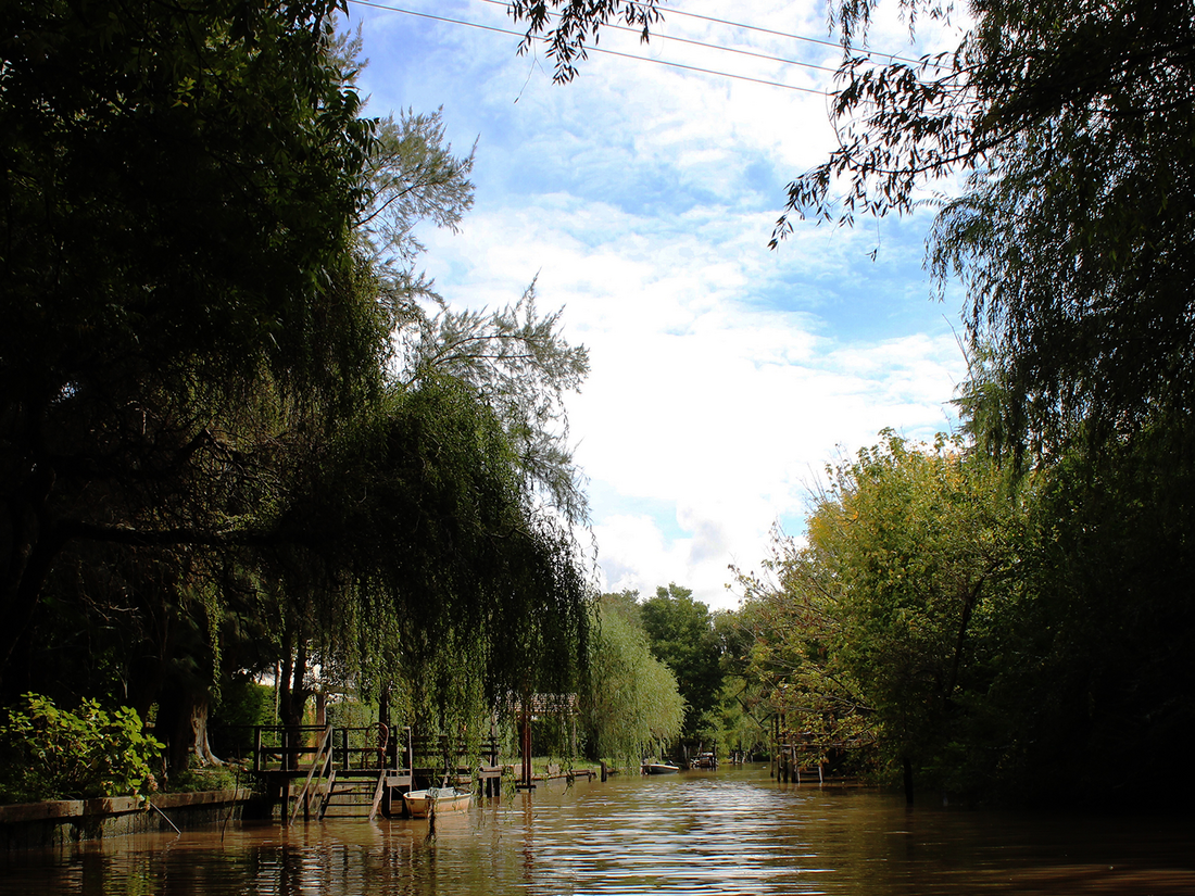En el Delta : Radio Ambulante : NPR
