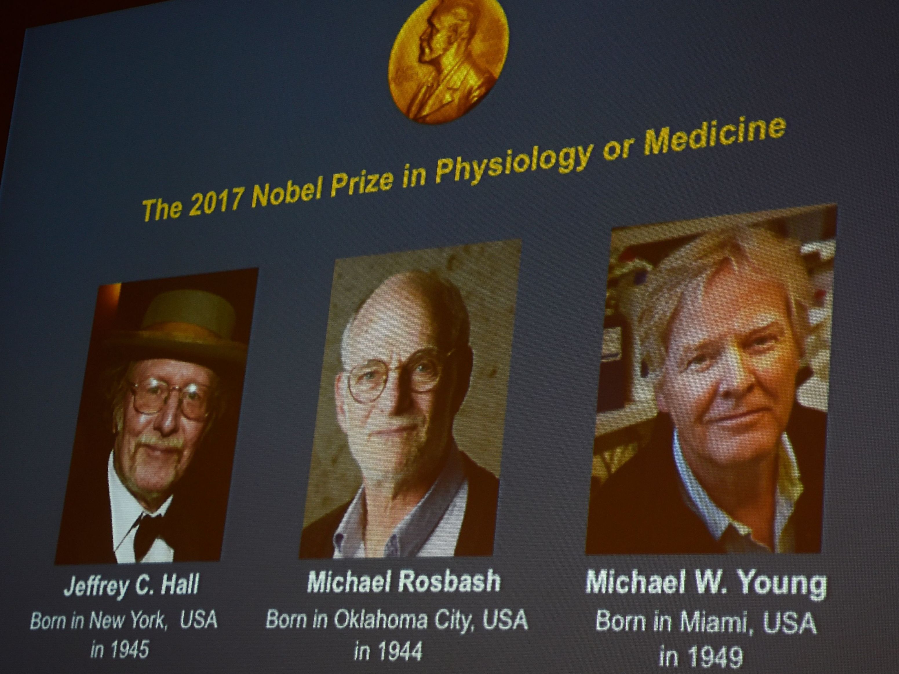 Nobel Prize In Medicine Is Awarded To 3 Americans For Work On Circadian ...