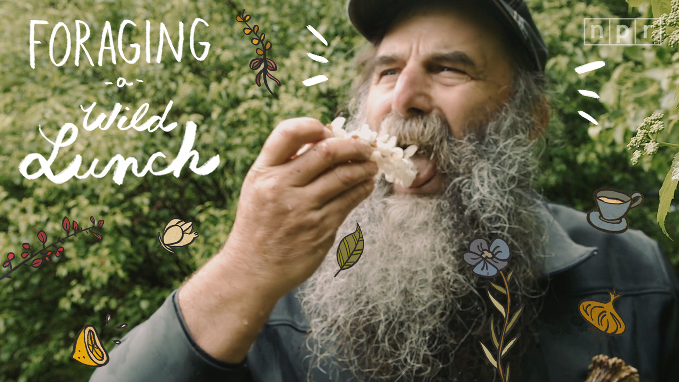 VIDEO: Harvesting A Wild Lunch With A Master Forager : The Salt : NPR