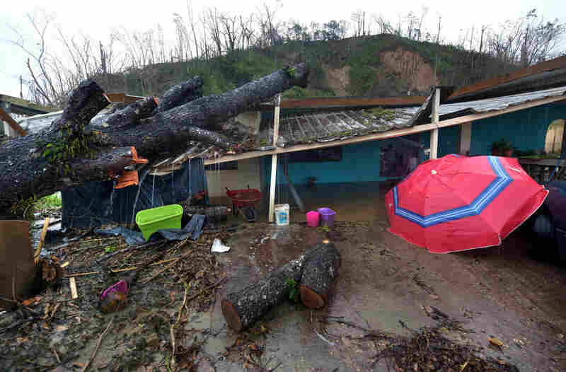 Progress Destroyed: Rural Puerto Rico Faces Continual Trauma Of ...