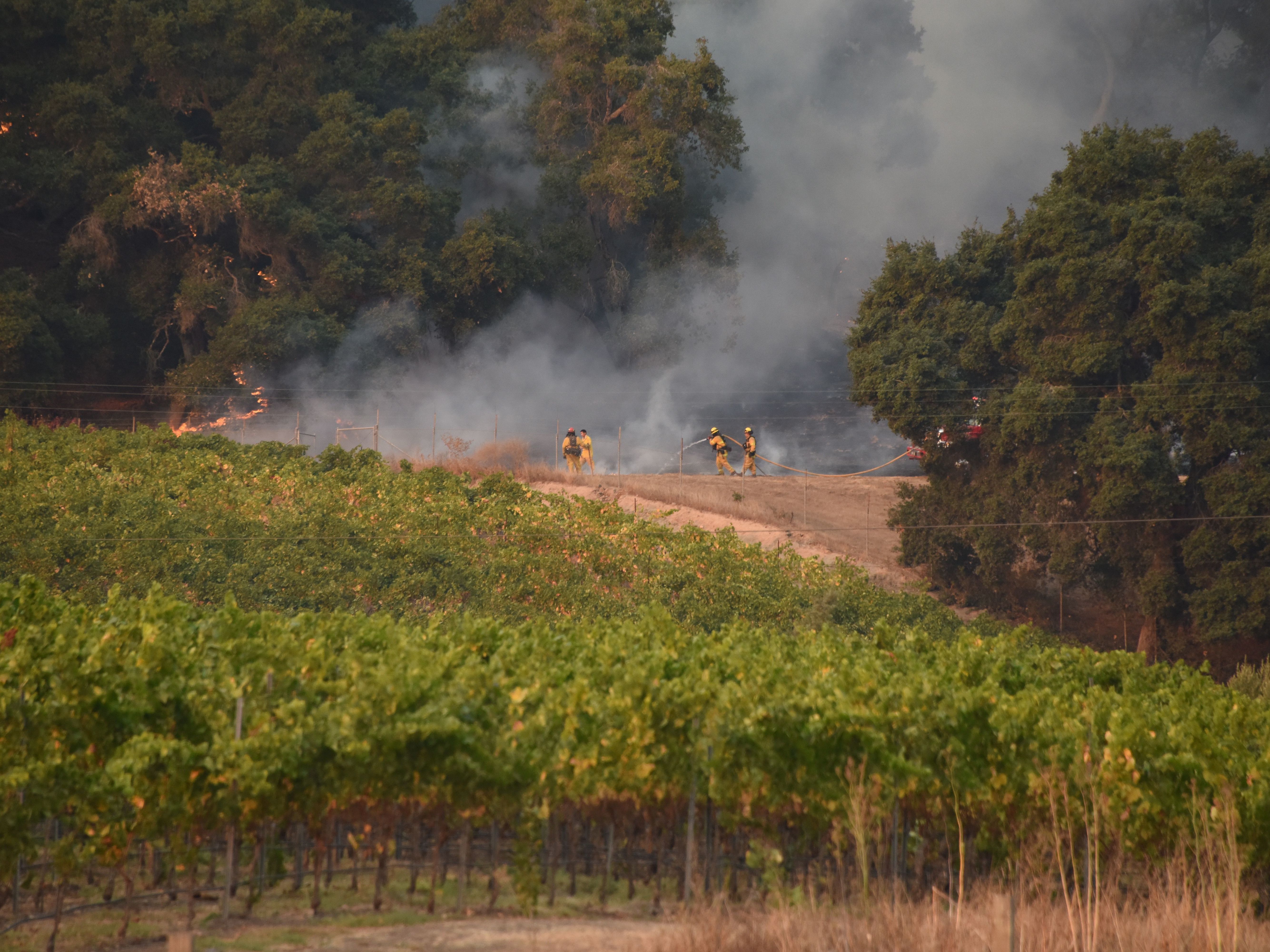 More Flee California Wine Country As Deadly Wildfires Spread | NCPR News