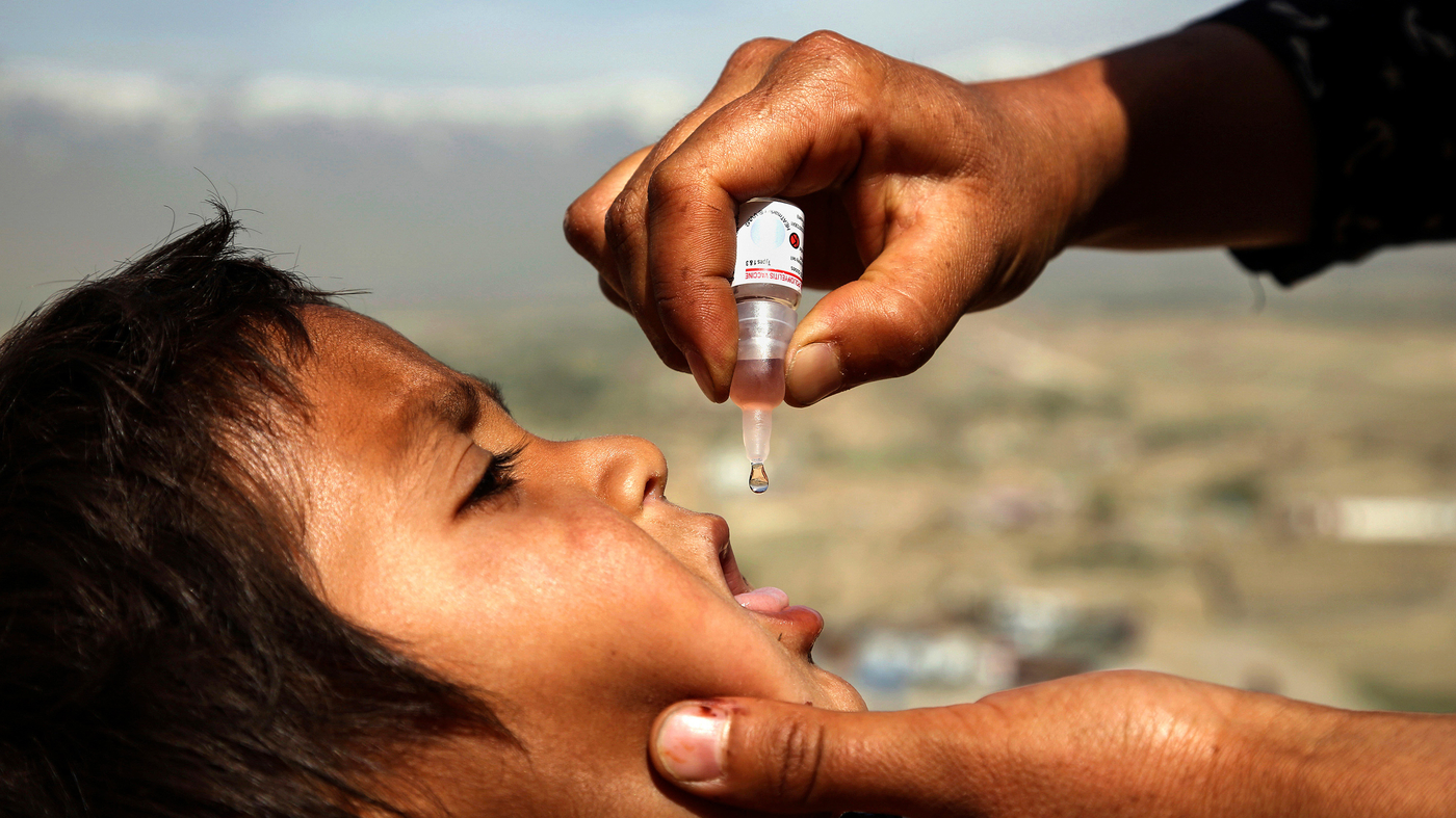 Webcast: Will Polio Be The Second Human Disease To Be Eradicated ...