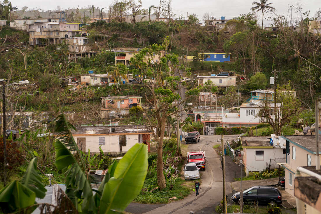 Need Help In Puerto Rico? Here's $100 : NPR
