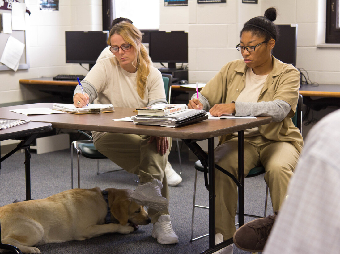 Female Inmates In Indiana Pitch Plan To Rehab Empty Houses — And Their ...